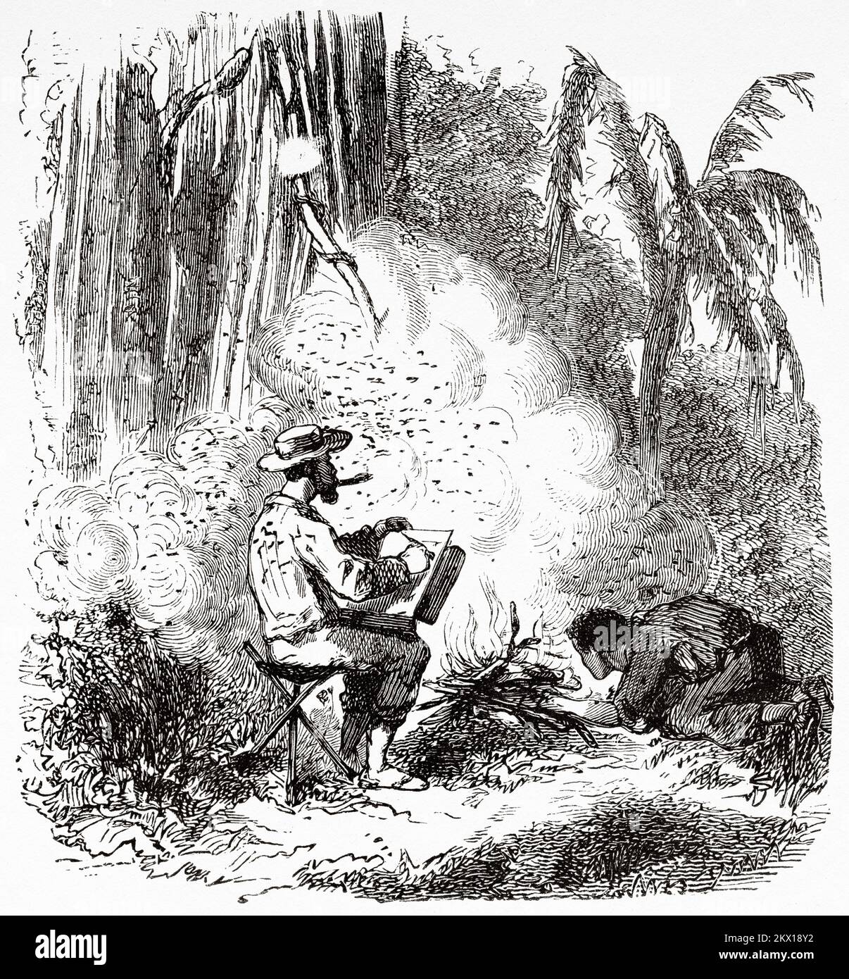 Biard drawing and making a fire to keep mosquitoes away, Brazil, South ...