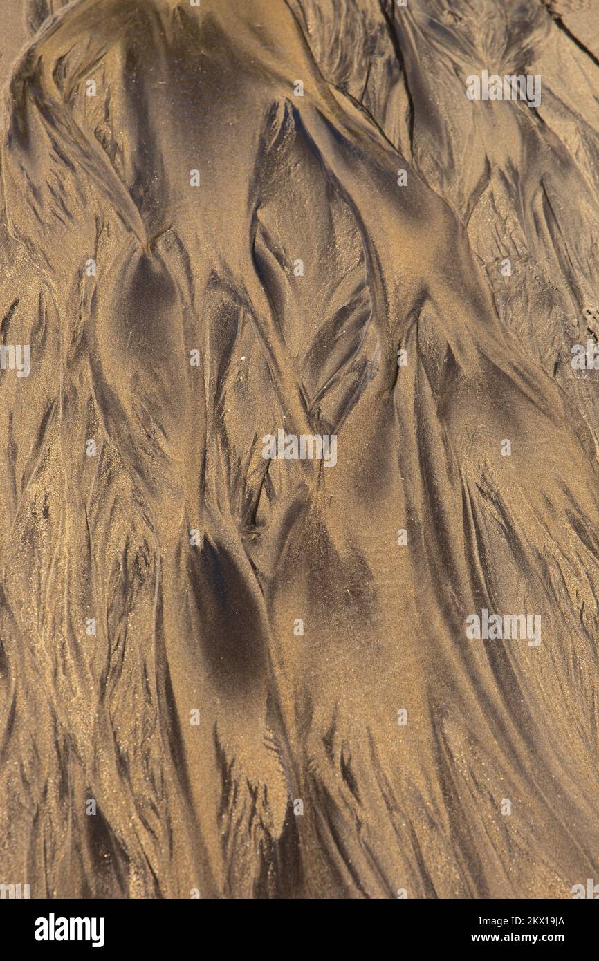 Fine beach sand in the summer sun. Sand texture. Sandy beach for ...