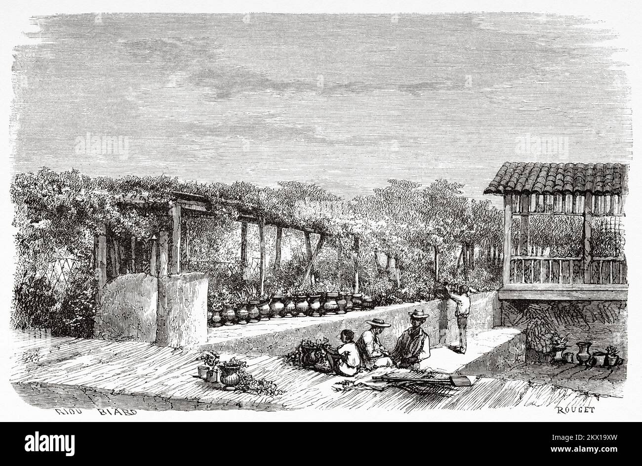 Old view of the brazilian garden of Arapiranca, Brazil, South America ...