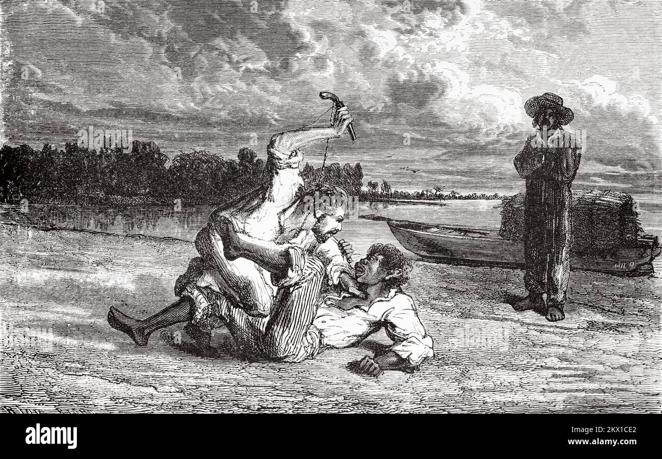 Biard attacking a man, Brazil, South America. Journey of the French ...