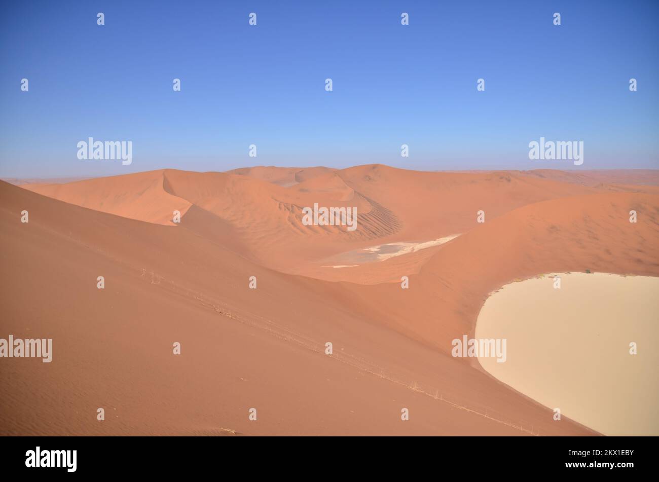 Top of Dune 45 Big Daddy Sand Dune namibia Afrika Blue Sky Stock Photo ...