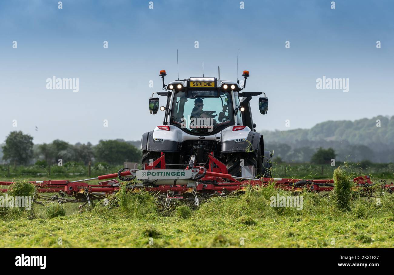 Contractor driving a Valtra tractor and spreading grass in a silage ...