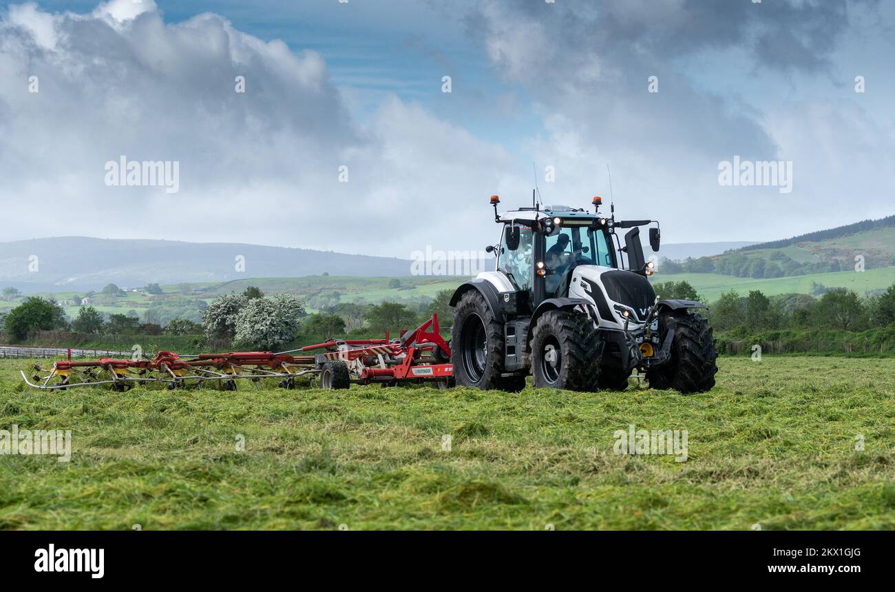 Contractor driving a Valtra tractor and spreading grass in a silage ...
