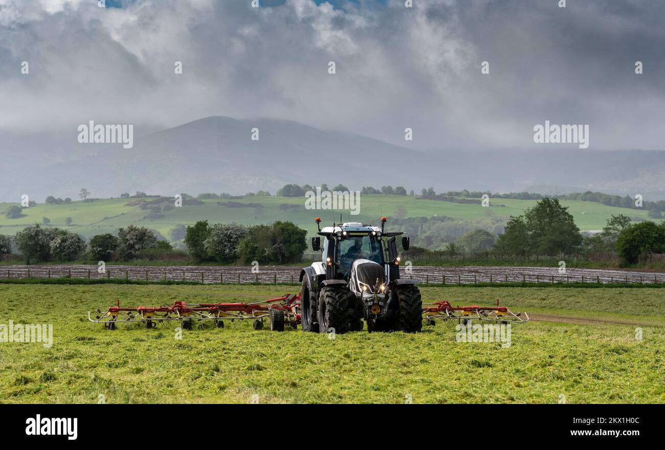 Contractor driving a Valtra tractor and spreading grass in a silage ...