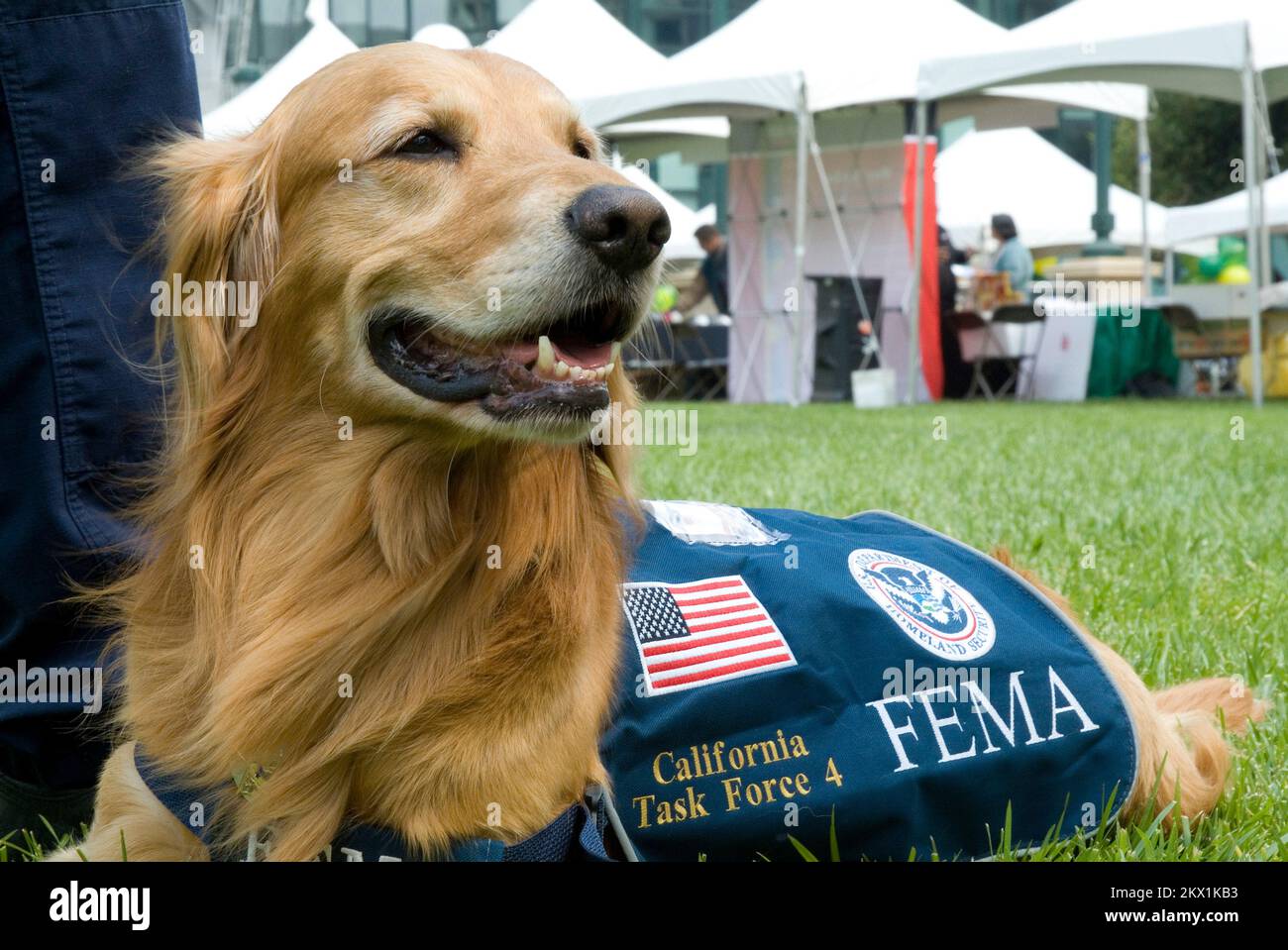 Usar team hi-res stock photography and images - Alamy
