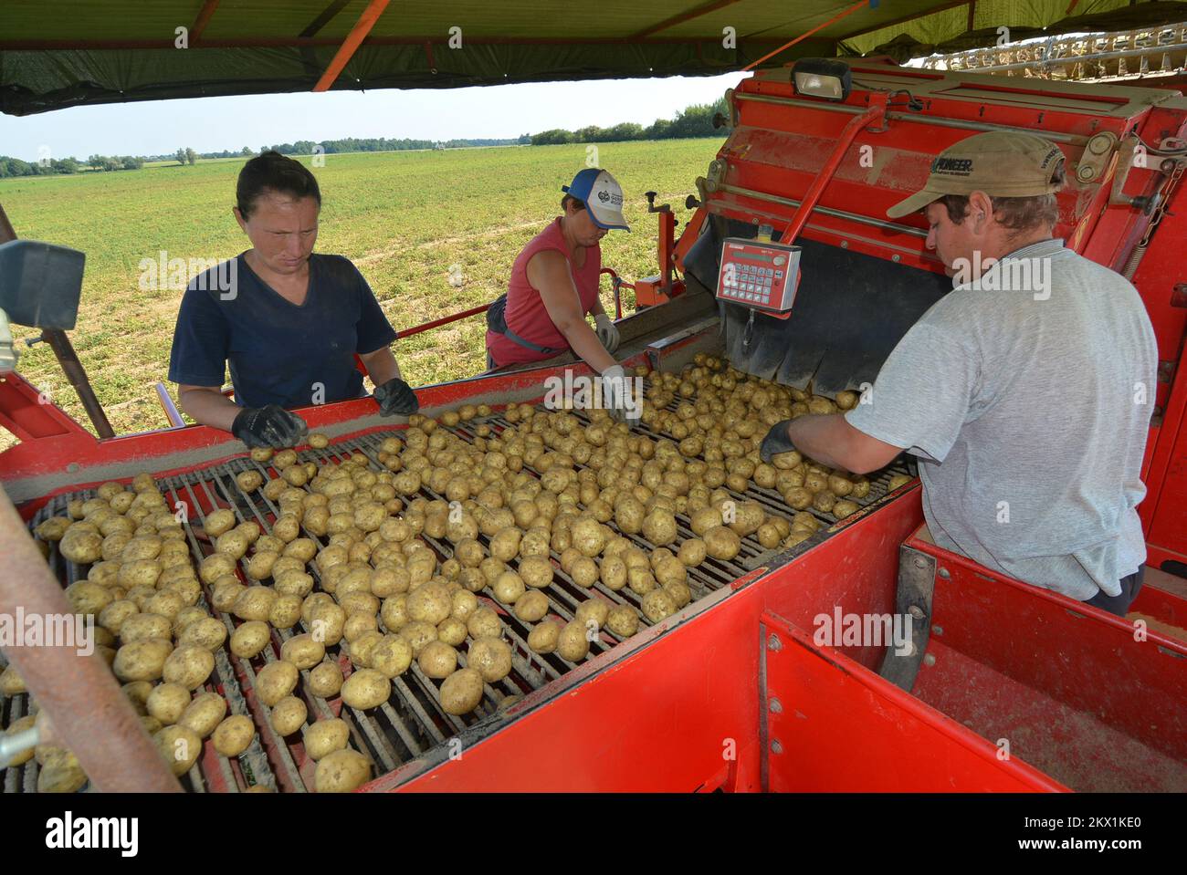 Puskaric hi-res stock photography and images - Alamy