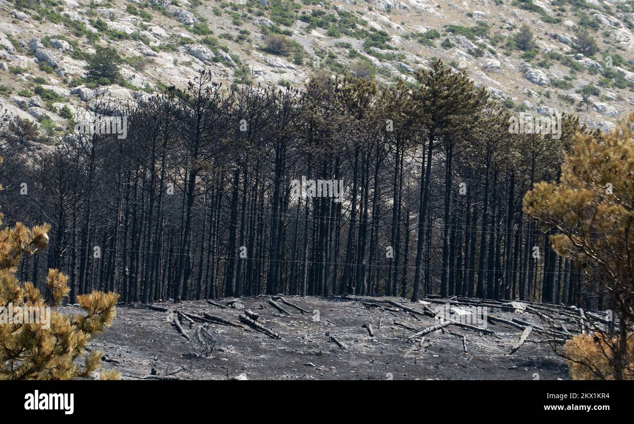 21.07.2017., Croatia, Zrnovnica - Site of fire in the vicinity of Split ...