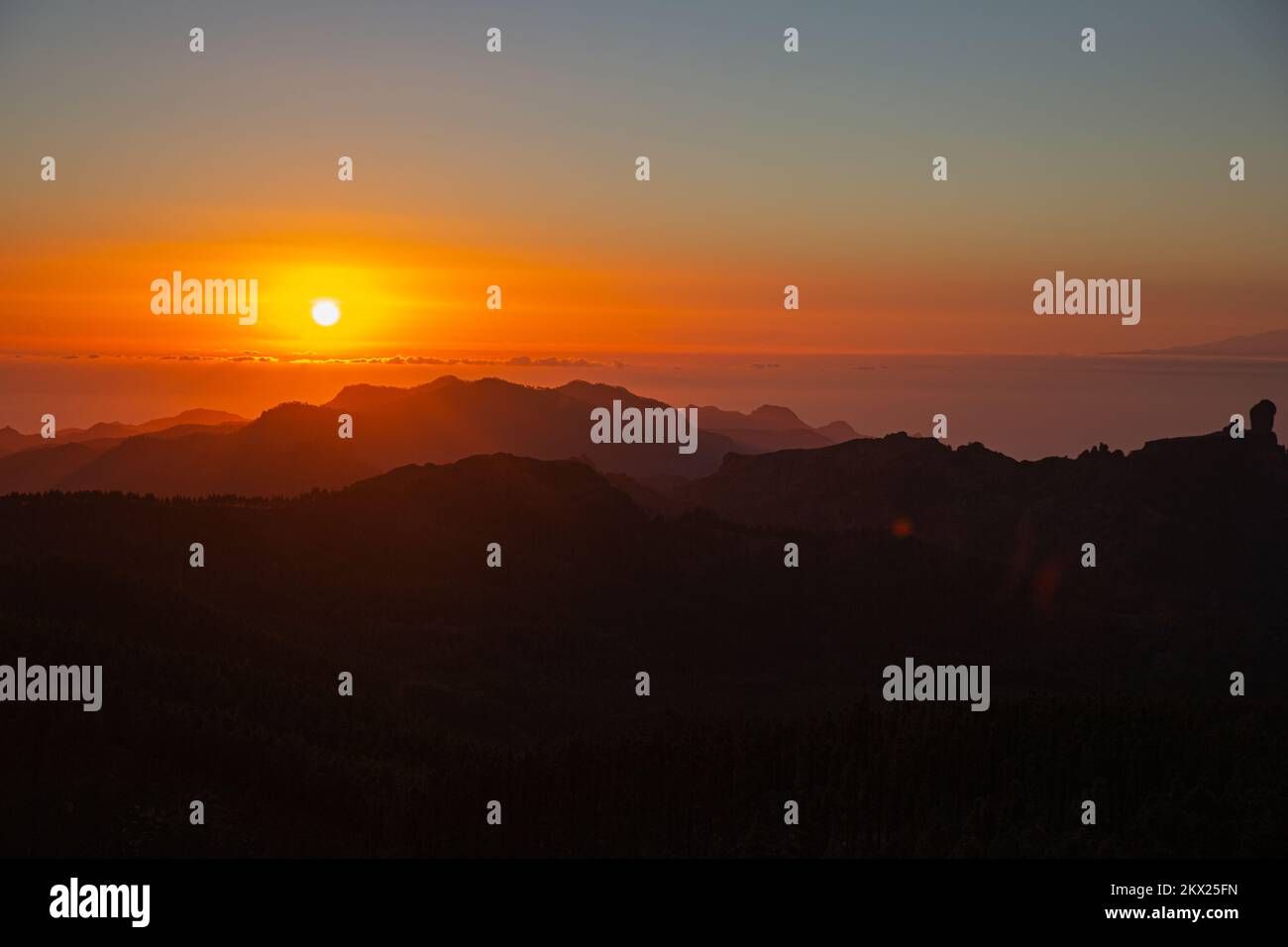 Authentic canaria hi-res stock photography and images - Alamy