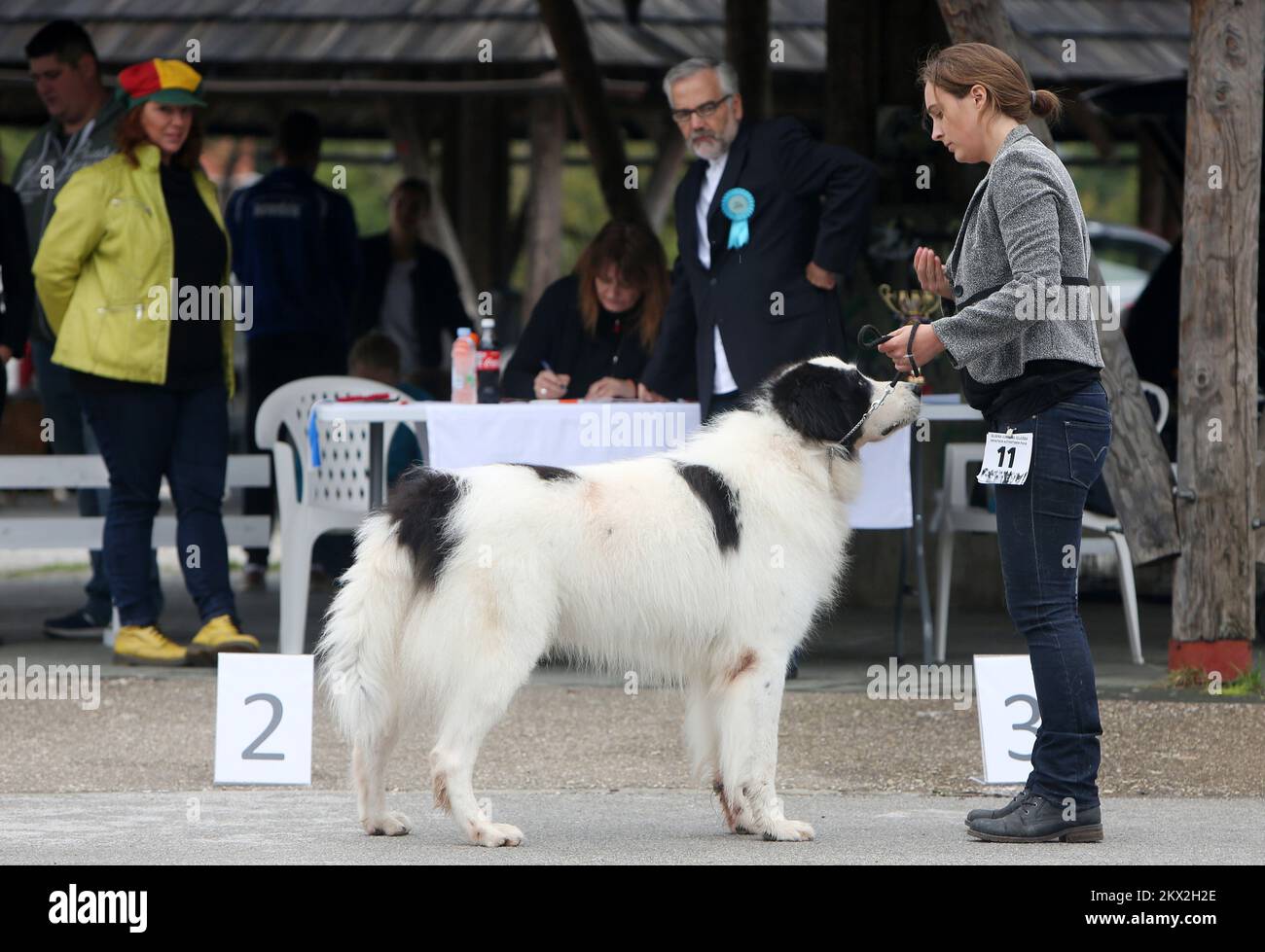 Is The Tornjak Legal In Guam