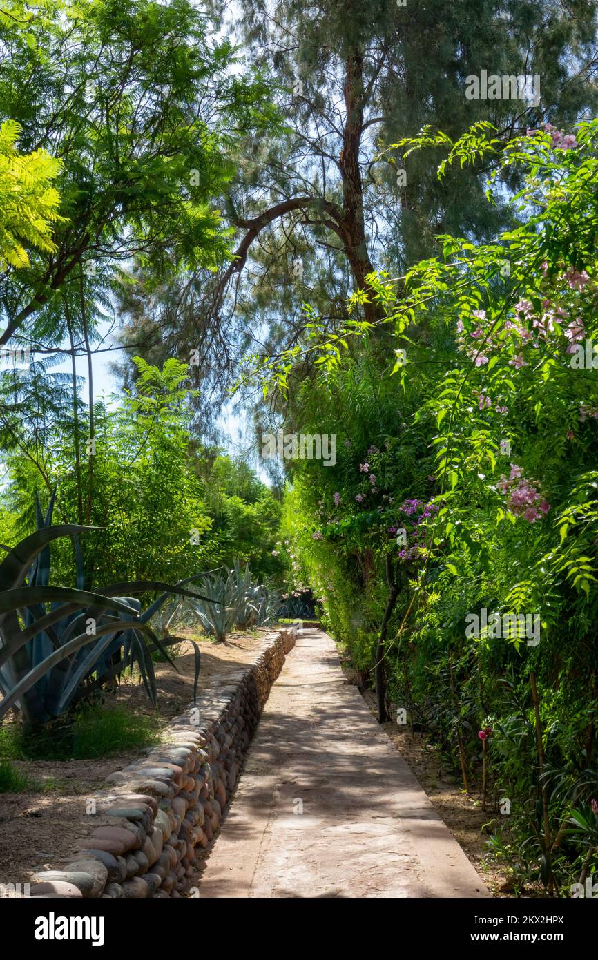 Foreign flowers hi-res stock photography and images - Alamy
