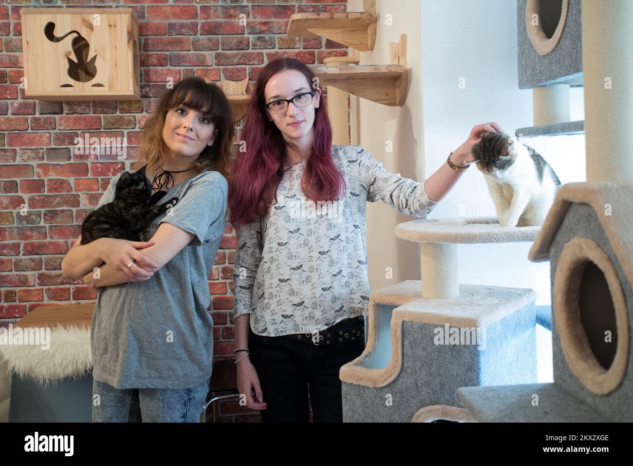 13.10.2017., Zagreb, Croatia - First Cat Caffe in Croatia will be ...
