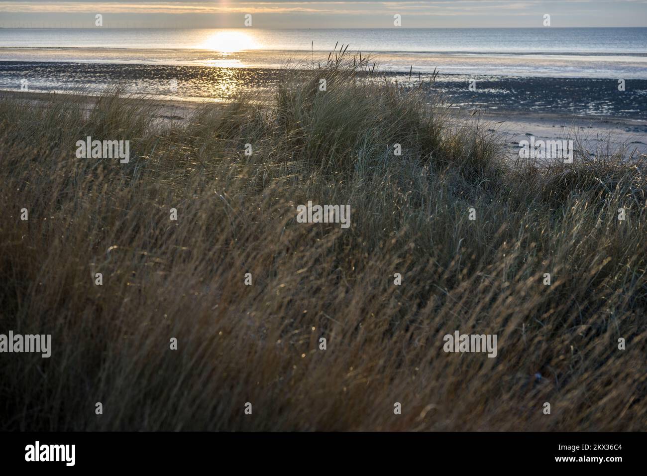 The coast at the Wadden Sea near Harlingen, Netherlands 2021 Stock ...