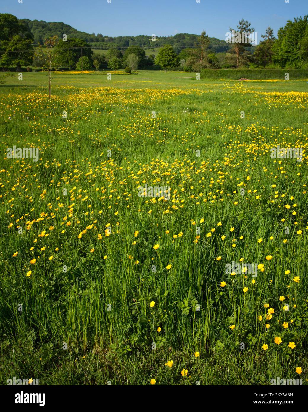 Golden valley herefordshire railway hi-res stock photography and images ...