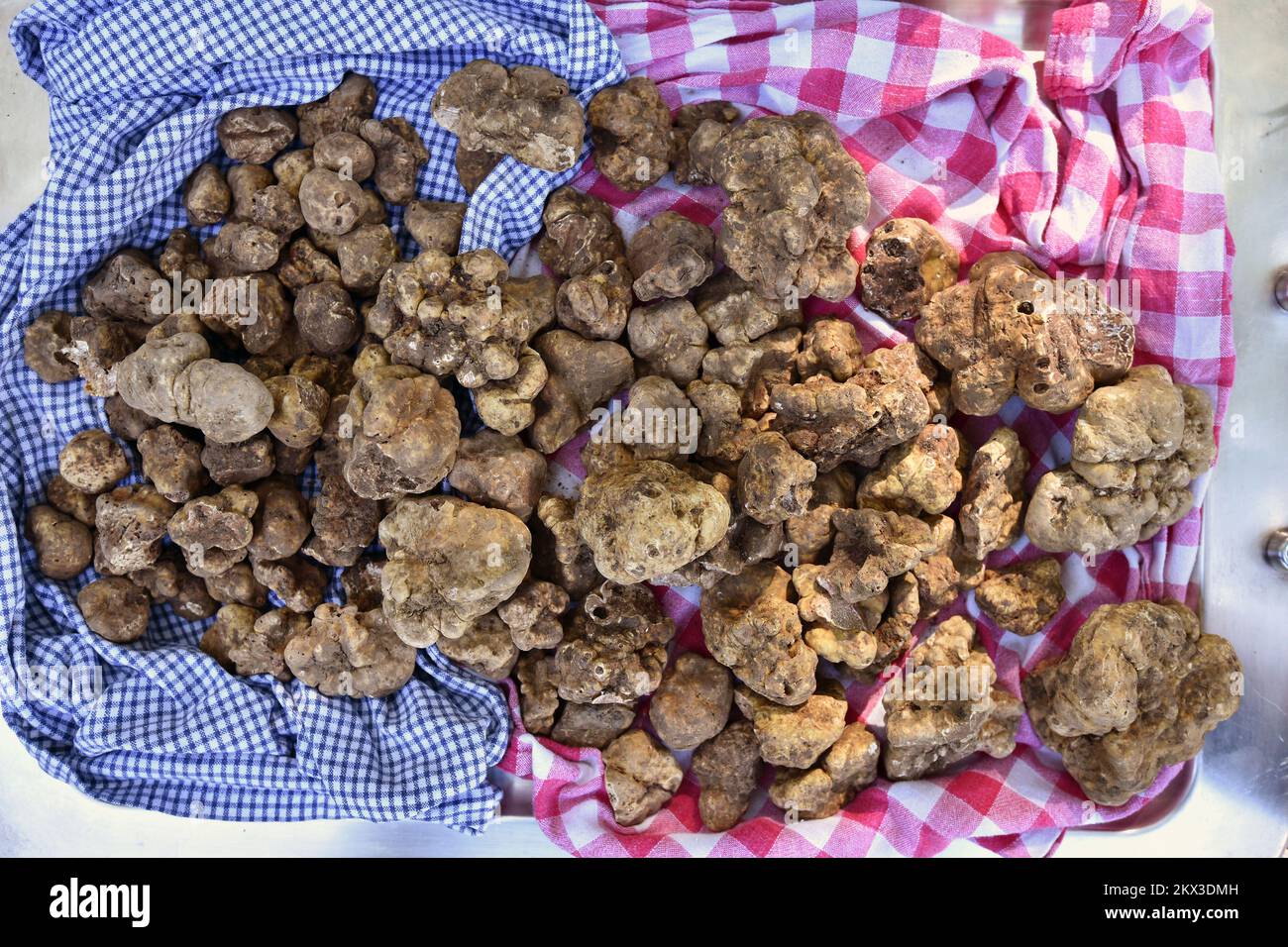 Livade croatia festival hi-res stock photography and images - Alamy