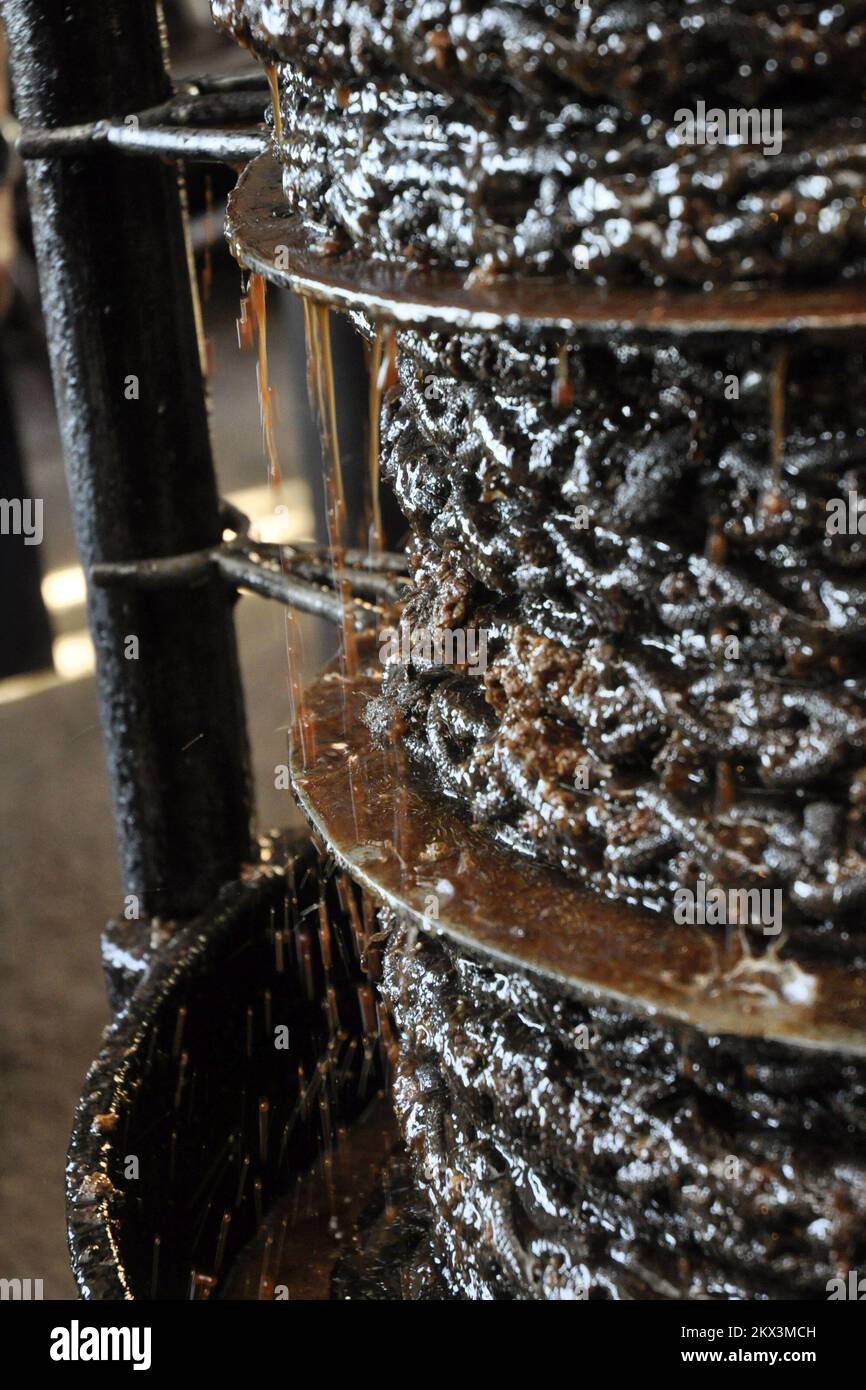 04.12.2017., Croatia, island of Rab - The creation process of olive oil ...