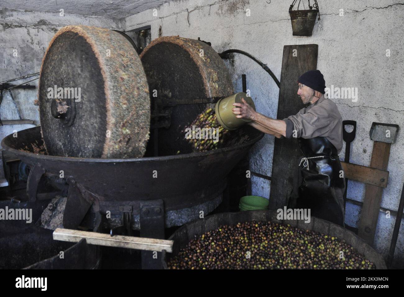 04.12.2017., Croatia, island of Rab - The creation process of olive oil ...