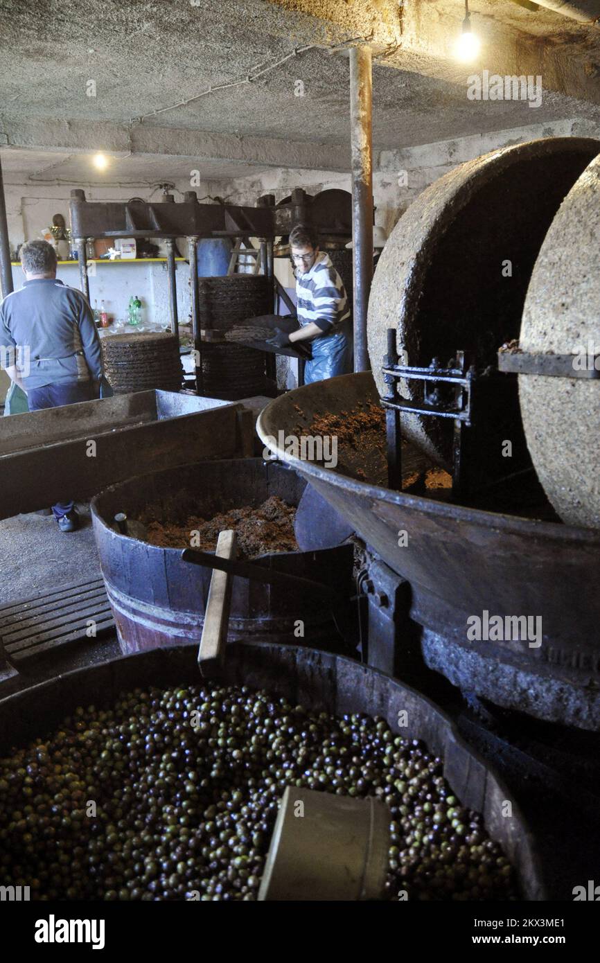 04.12.2017., Croatia, island of Rab - The creation process of olive oil ...