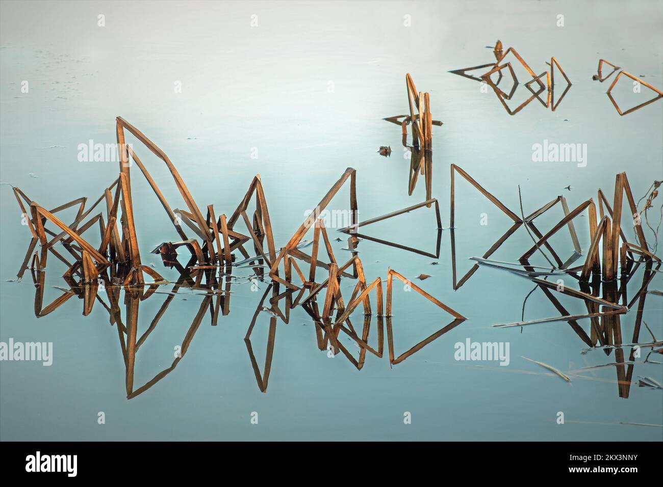 Bronze foliage hi-res stock photography and images - Alamy