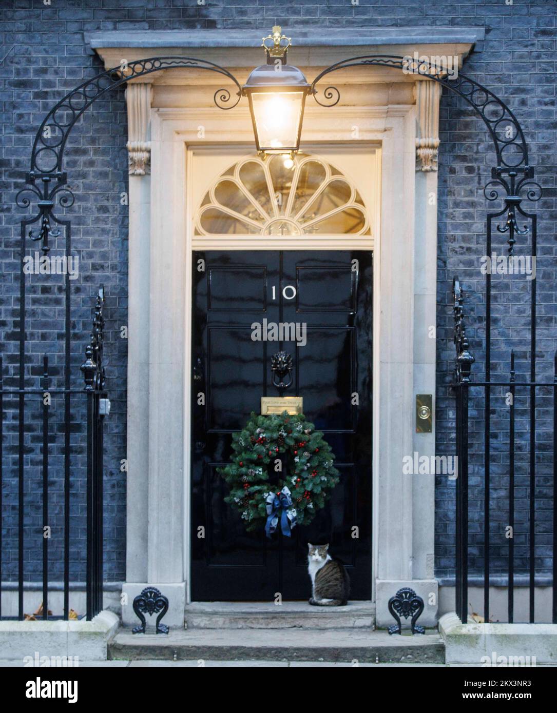 Larry posing at number 10 door hi-res stock photography and images - Alamy
