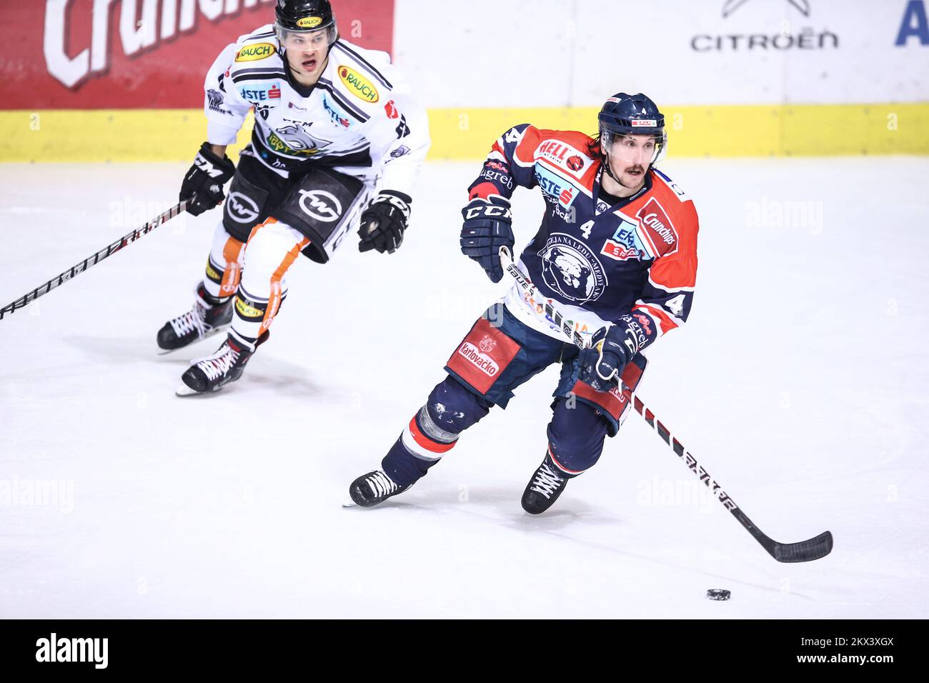 21.12.2017., Dom sportova, Zagreb, Croatia - Erste Bank Eishockey Liga, Round 30, KHL Medvescak ...