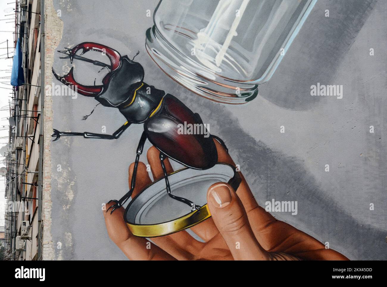 09.01.2018., Croatia, Sisak - To a mural of Tomislav Loncarevic - Lonac ...