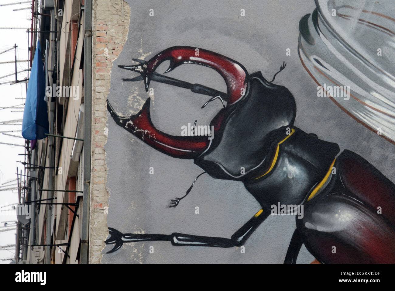 09.01.2018., Croatia, Sisak - To a mural of Tomislav Loncarevic - Lonac ...
