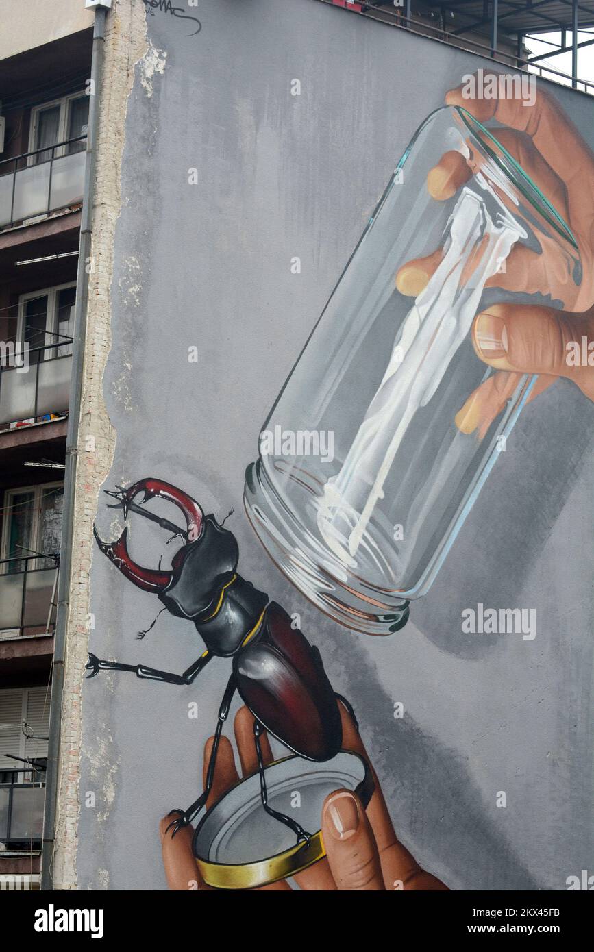 09.01.2018., Croatia, Sisak - To a mural of Tomislav Loncarevic - Lonac ...