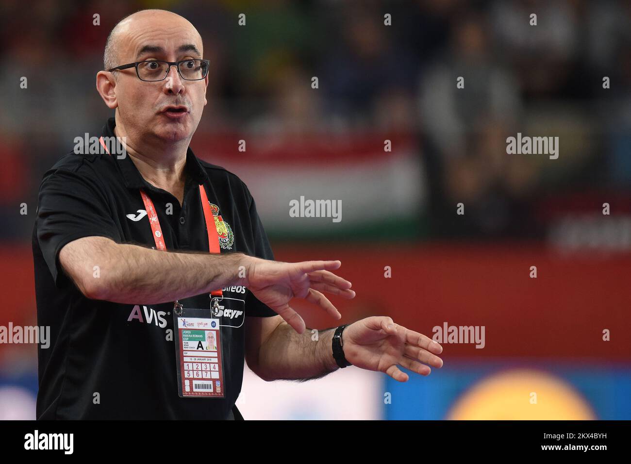 17.01.2018., Arena Varazdin, Varazdin, Croatia - 2018 European Men's ...