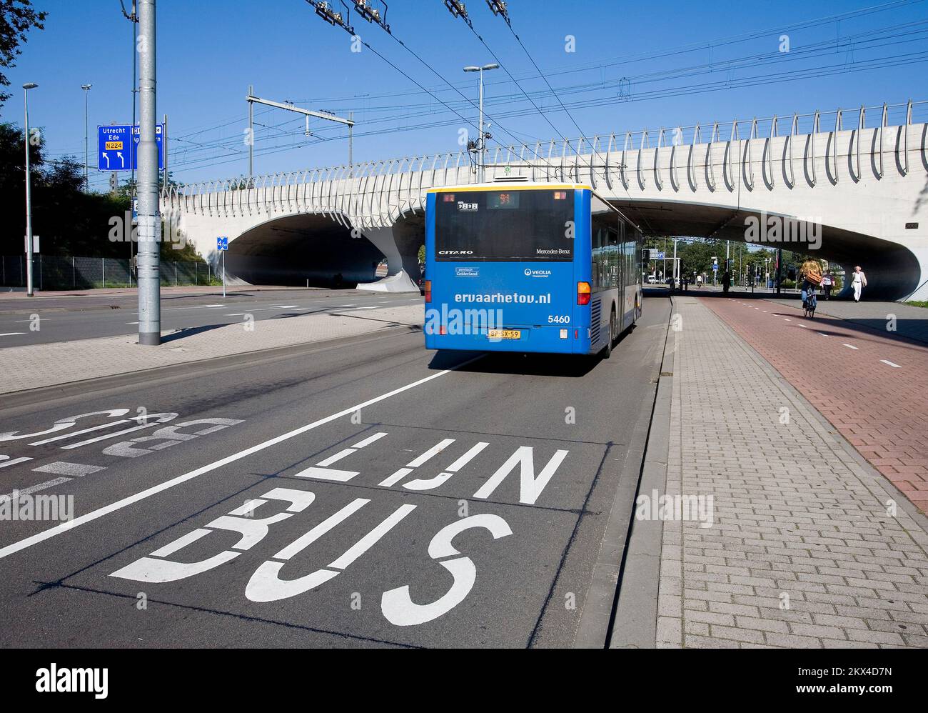 Netherlands, public trolley bus on a special created bus lane in Arnhem ...