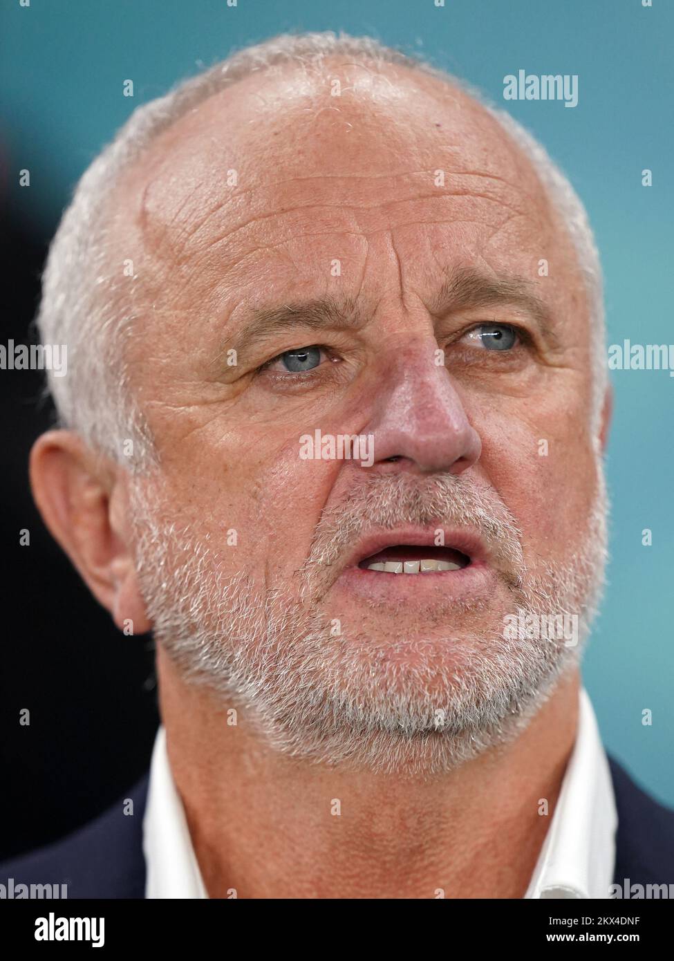 Australia manager Graham Arnold during the FIFA World Cup Group D match ...