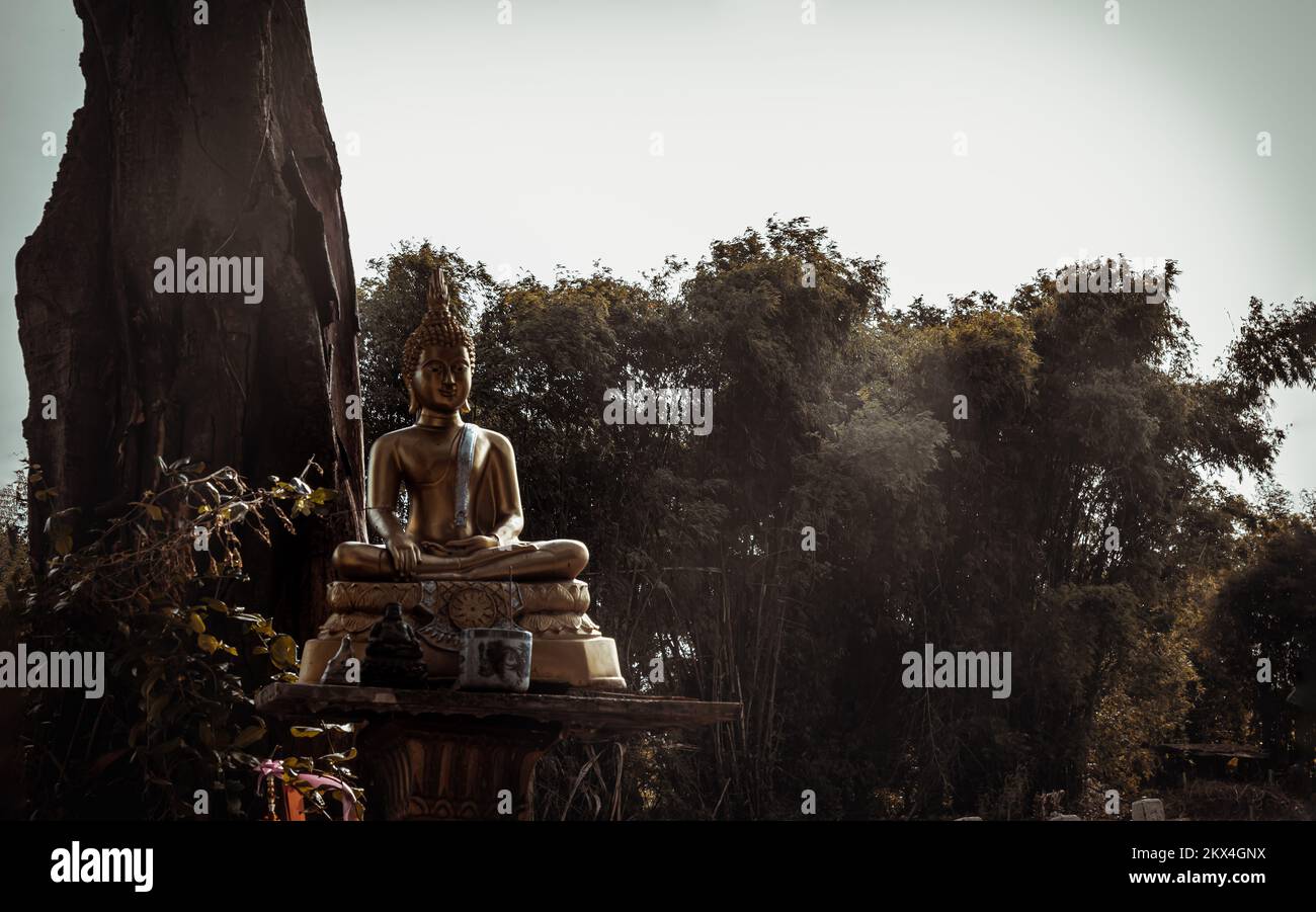 Golden Buddha statue in meditative posture under Big tree background ...