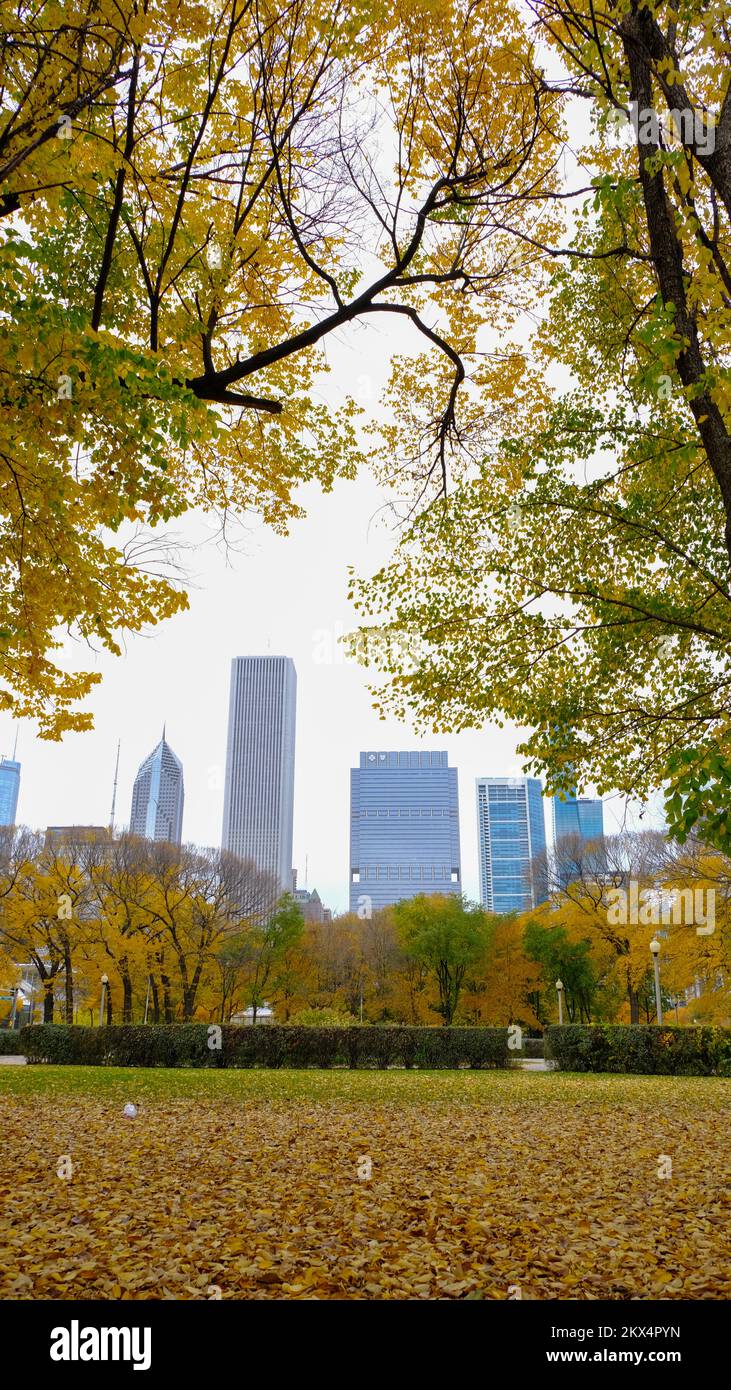 Autumn Foliage at North Rose Garden in downtown Chicago, Illinois, USA ...