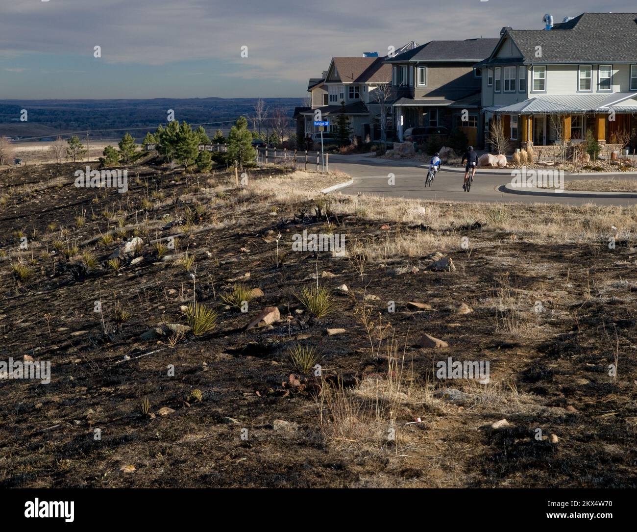 Fire Wildfire - Boulder, Colo. , January 8, 2009 Fire Fighters saved ...