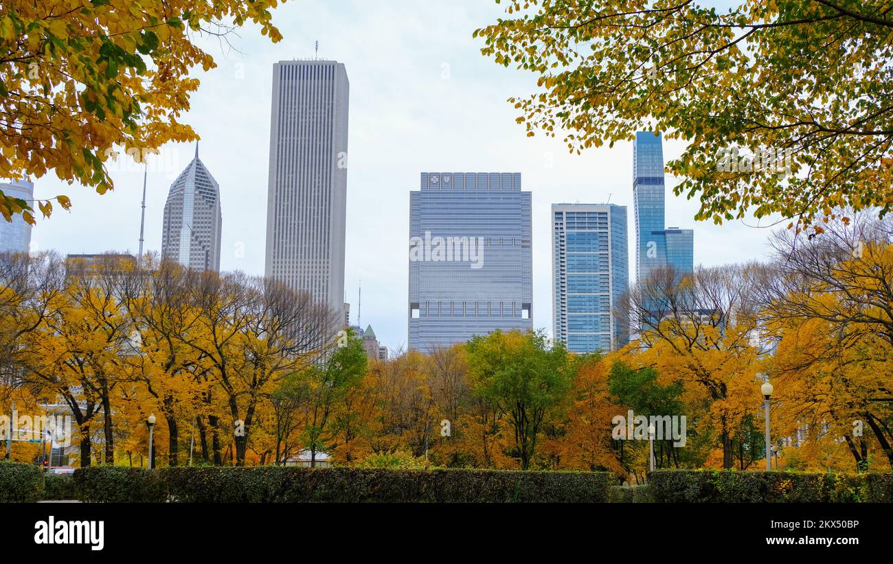 Autumn Foliage at North Rose Garden in downtown Chicago, Illinois, USA ...