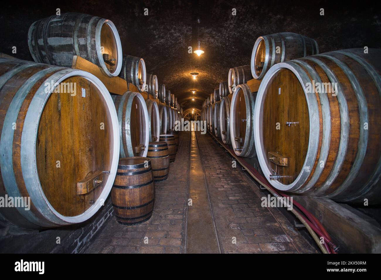 Queen elizabeth royal family harvest hi-res stock photography and ...