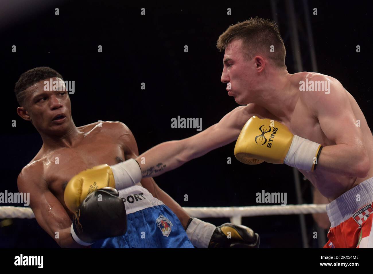 02.03.2018., Zadar, Croatia - World series of boxing, Group B. C1, 56 ...