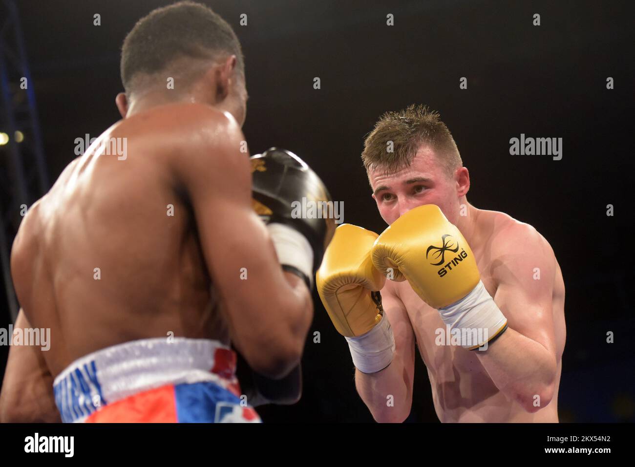 02.03.2018., Zadar, Croatia - World series of boxing, Group B. C1, 56 ...