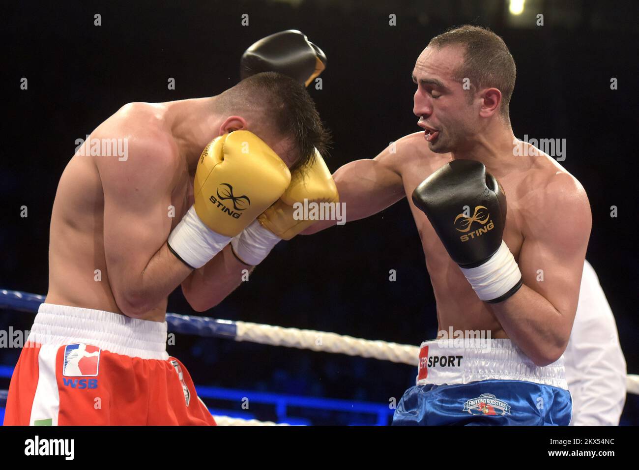 02.03.2018., Zadar, Croatia - World series of boxing, Group B. C1, 75 ...