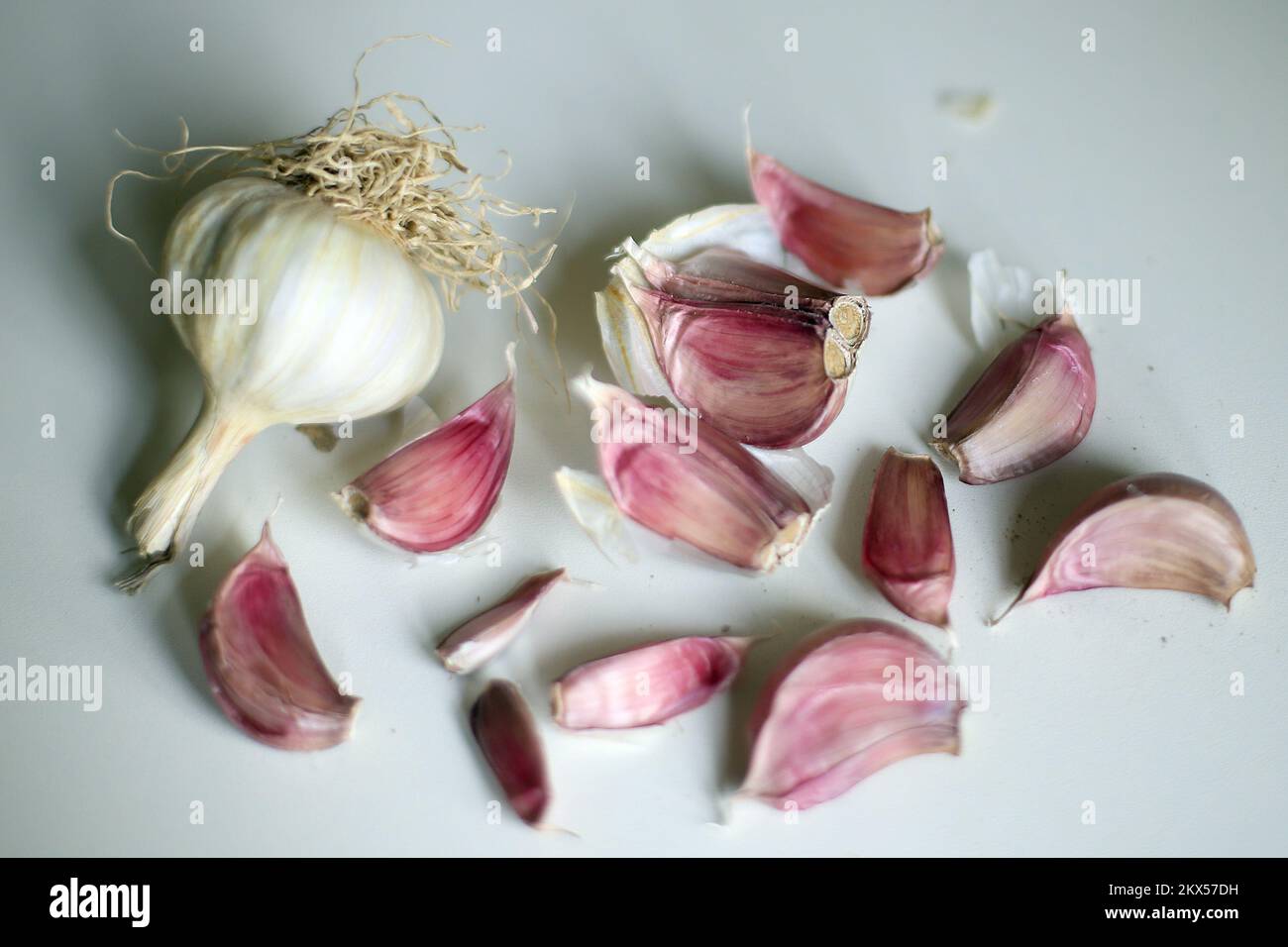 11.03.2018., Zagreb, Croatia - Garlic (Allium sativum) is a species in ...