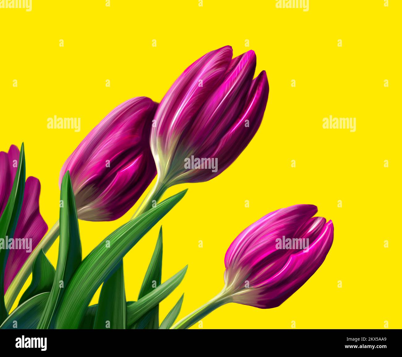 Realistic tulip painting hi-res stock photography and images - Alamy