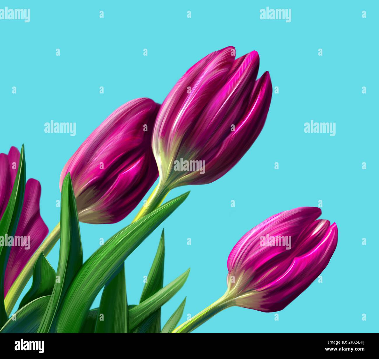 Realistic tulip painting hi-res stock photography and images - Alamy