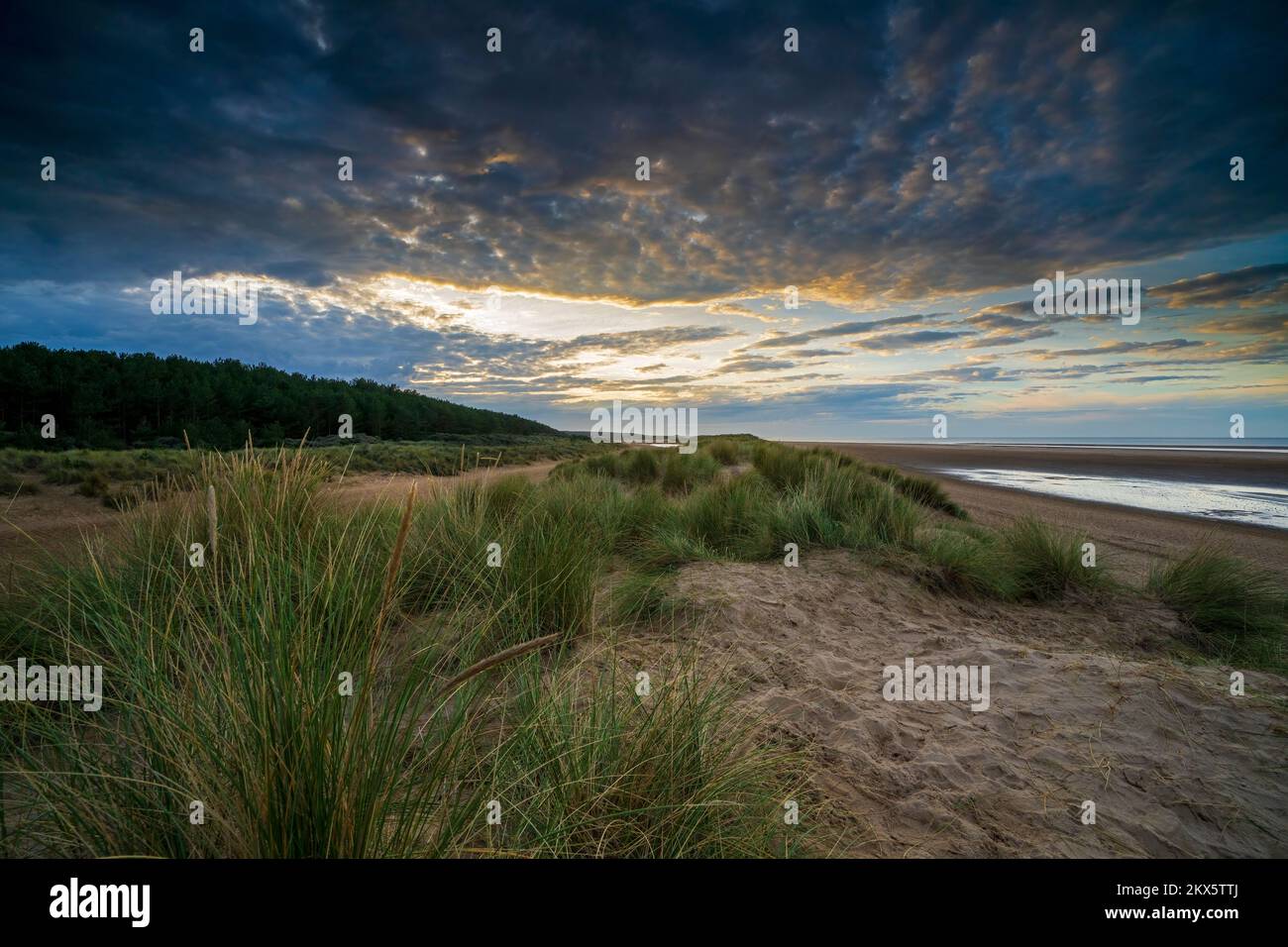 The dunes at Holkham beach at sunset, Norfolk, England, Uk Stock Photo ...