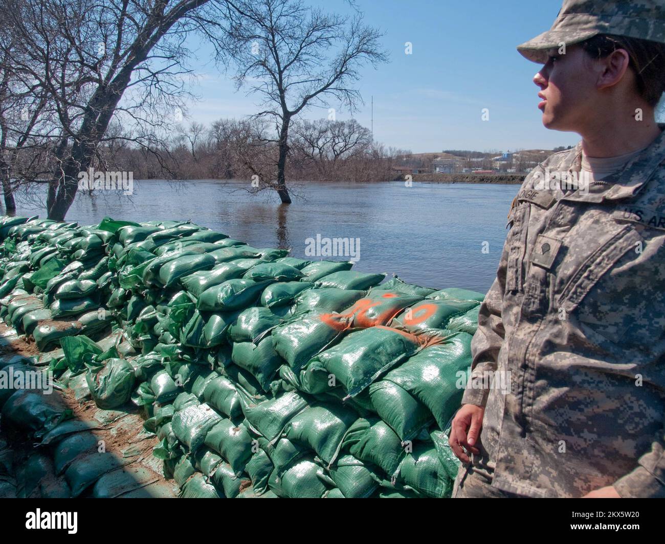 Longie hi-res stock photography and images - Alamy
