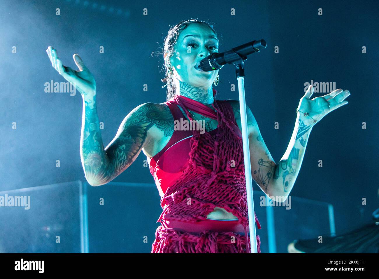 Milan Italy. 29 November 2022. The American singer-songwriter and ...