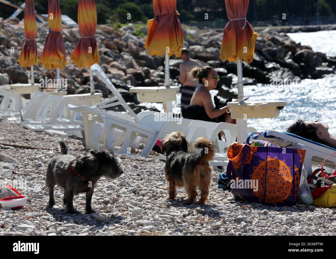 24.06.2018. Crikvenica, Croatia - Beach for dogs . Photo: Goran Kovacic ...