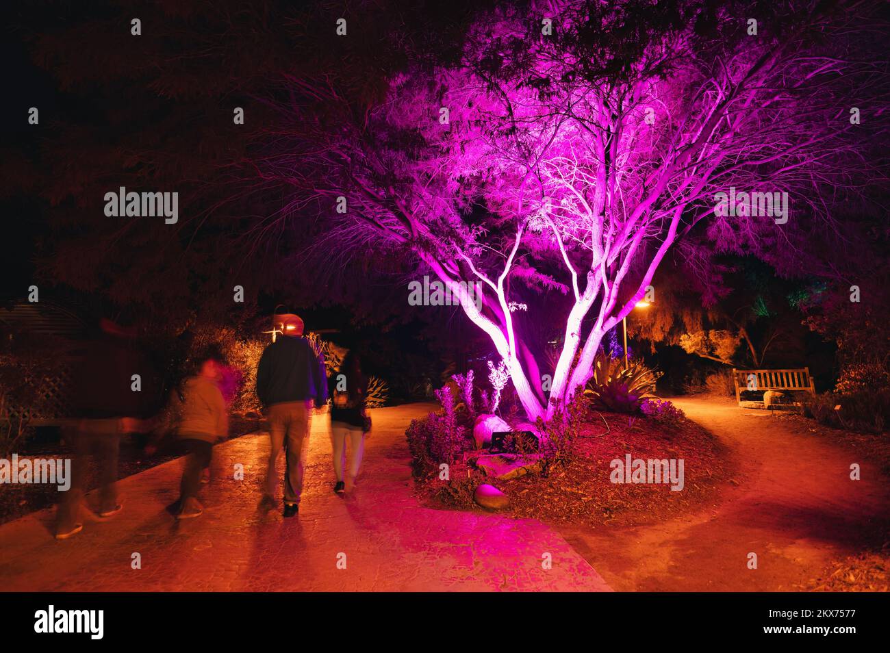 San Diego Botanic Garden holidays light show produced by WAD ...