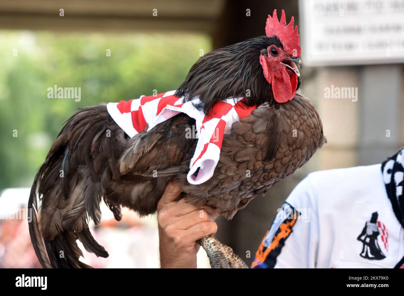 15.07.2018., Livno, Bosnia and Herzegovina - Atmosphere in Livno the ...