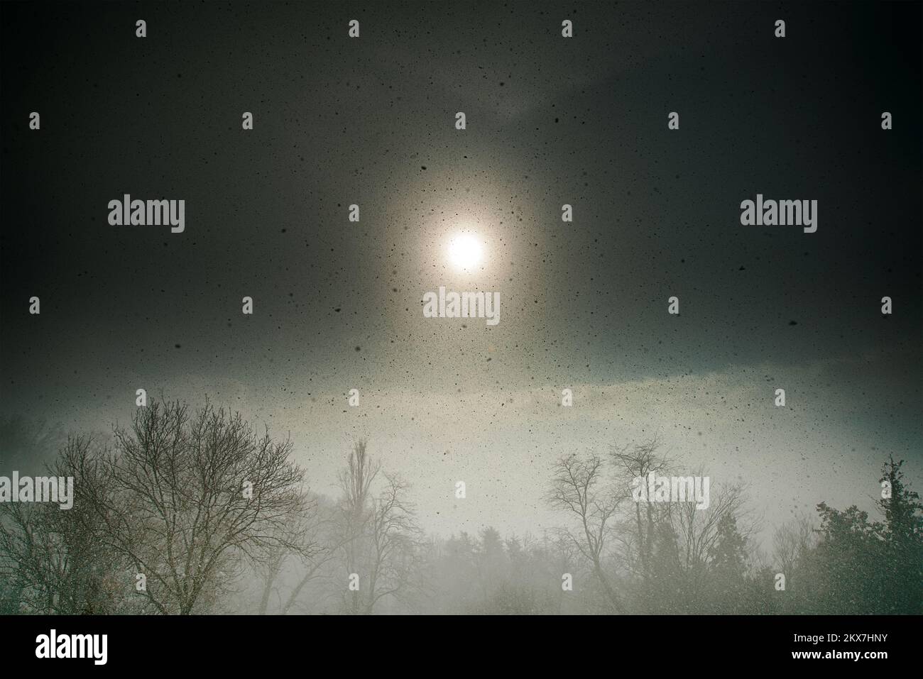 Snowfall in a clear sky. The dim sun and the glitter of snowflakes in ...