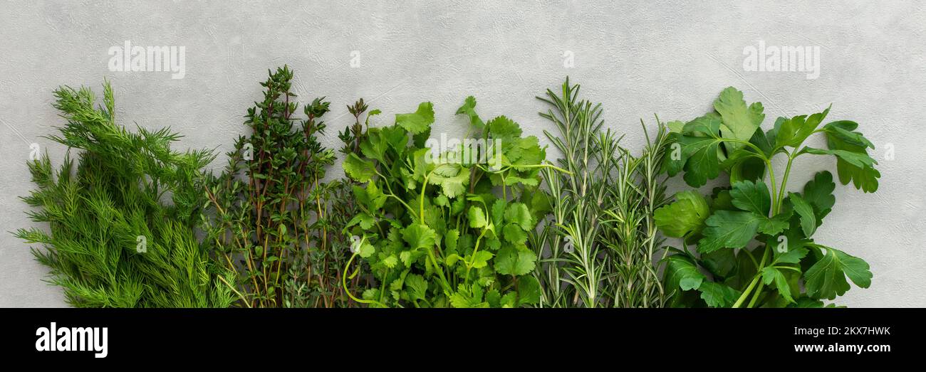 Thyme and rosemary, cilantro and parsley, dill, different types of ...