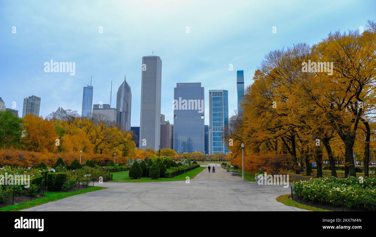 Autumn Foliage at North Rose Garden in downtown Chicago, Illinois, USA ...